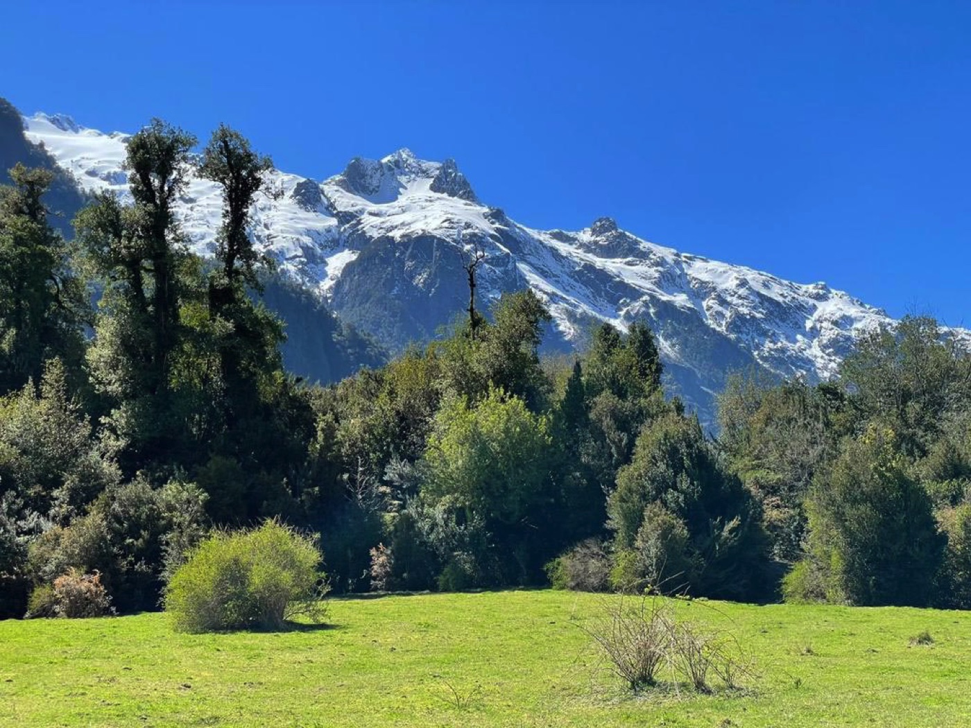 Fundo Río Blanco | Terrenos en el sur de Chile