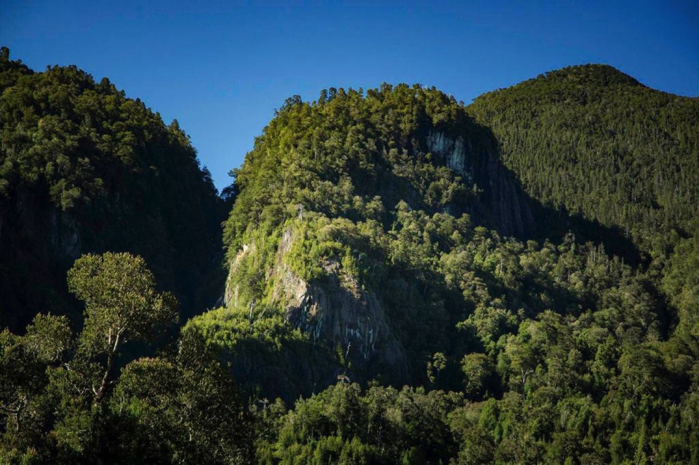 Fundo Río Blanco | Terrenos en el sur de Chile